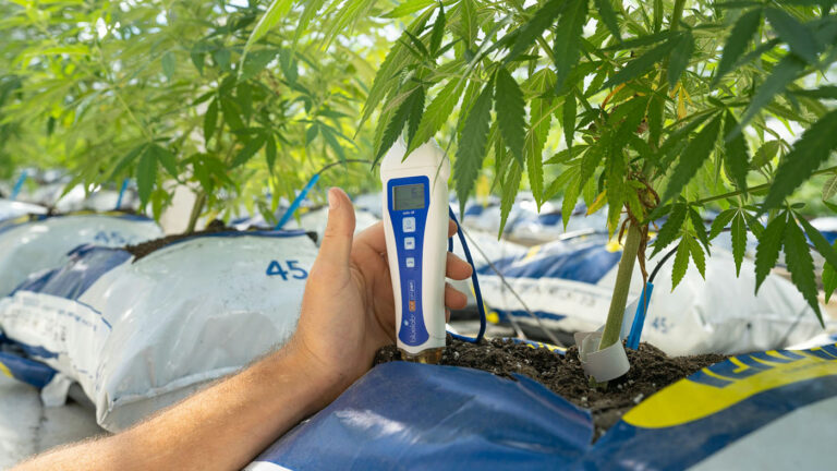 Cultivation Equipment for Cannabis Success | Catalyst BC