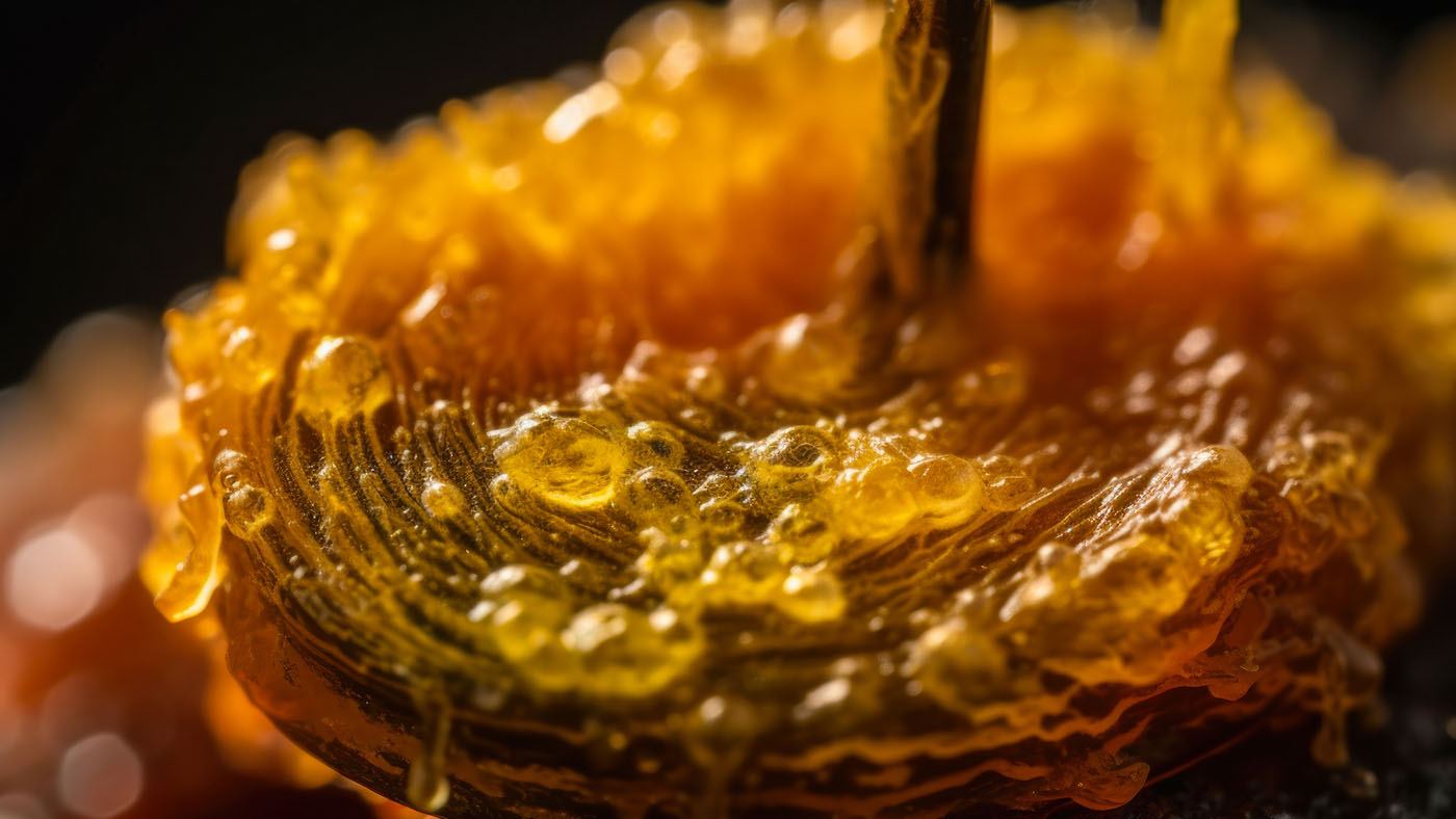 Solventless Extraction: Guide to Ice Water Extraction | Catalyst BC