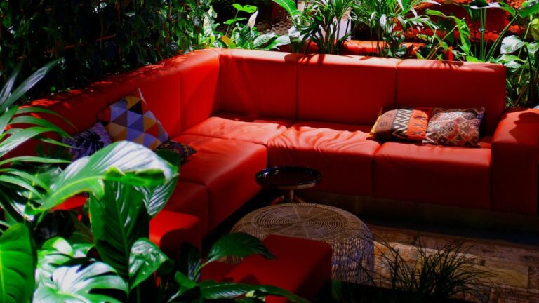California Cannabis Lounge License Guide | Catalyst BC